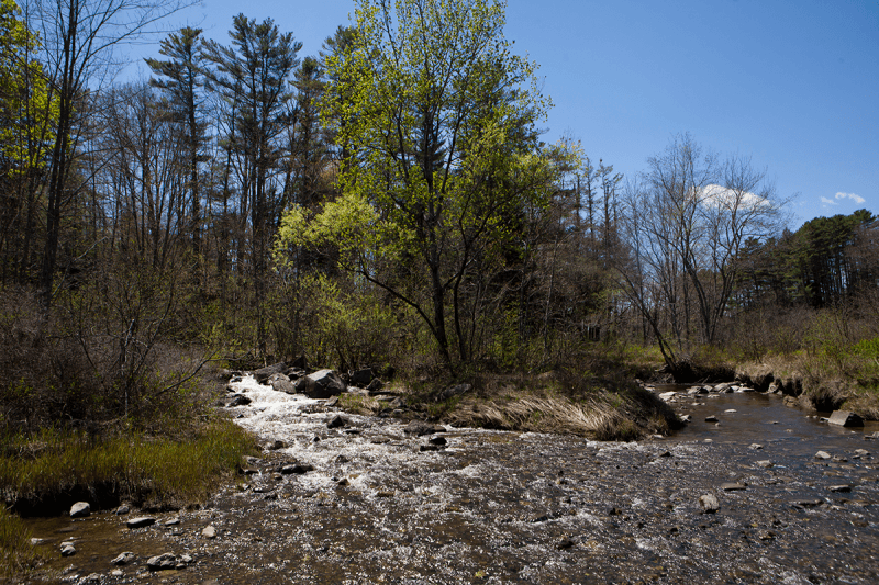 Great Places to Hike in Maine - Visit Freeport