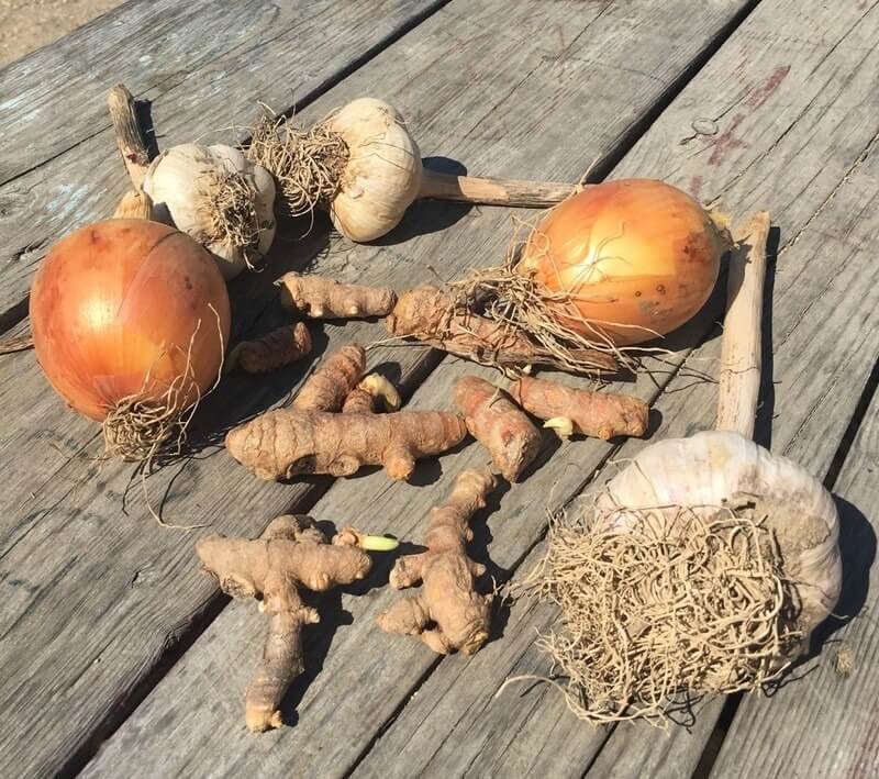 Wolfe's Neck Center - Fire Cider Workshop - Visit Freeport