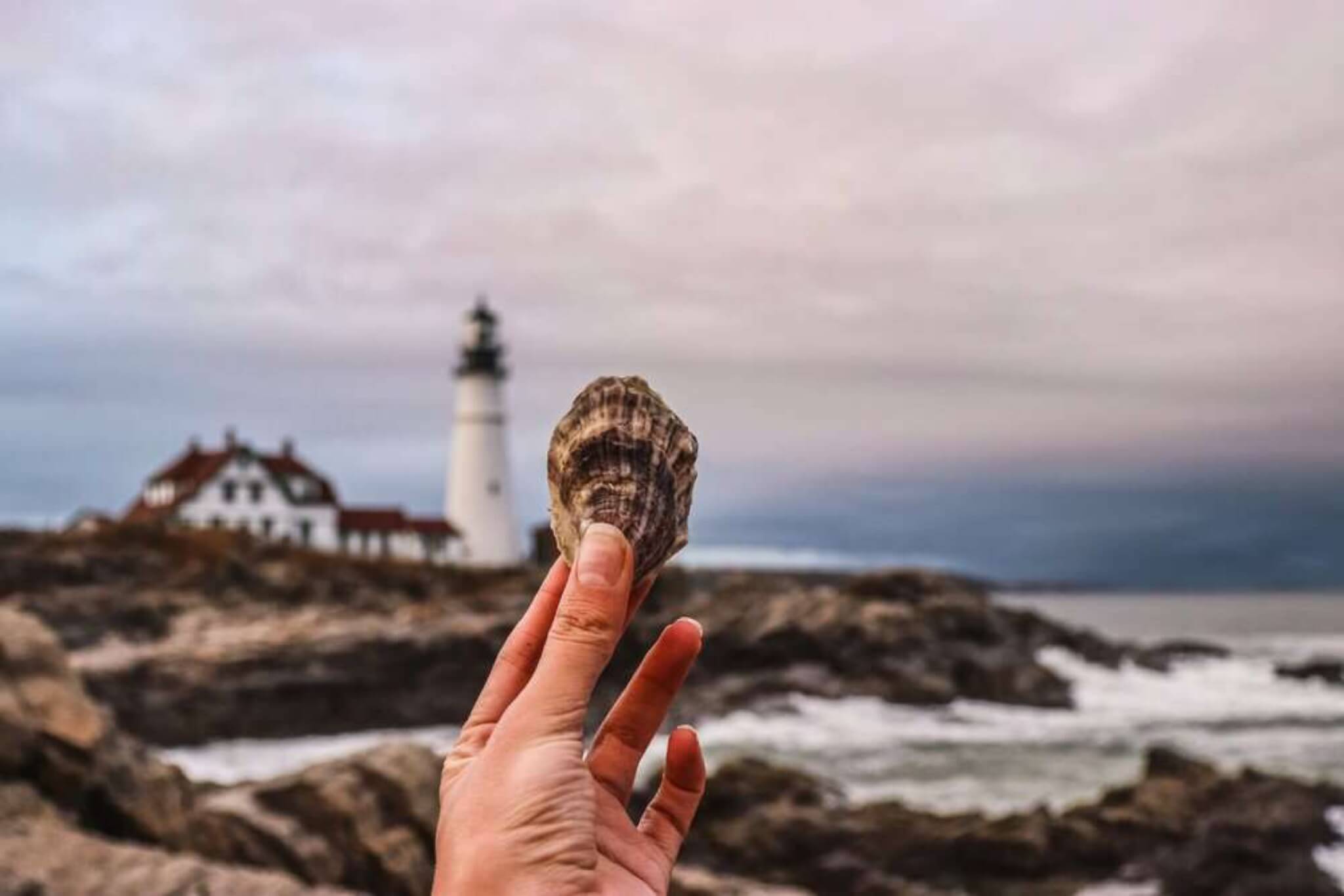 TMOF Sea Farms & Mobile Shuckers - Visit Freeport