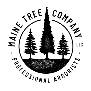 Sparkle Celebration | Maine Events | Visit Freeport