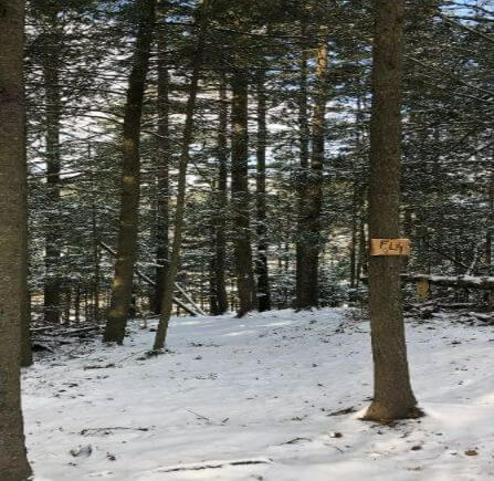 Wolfe's Neck Center - Night Hike - Visit Freeport