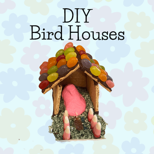 Wilbur's of Maine Chocolate Confections - DIY Edible Bird House - Visit ...