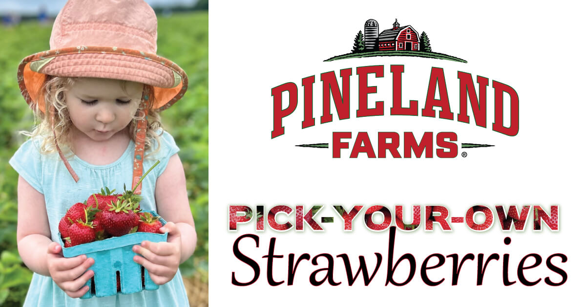 Pineland Farms - Pick Your Own Maine Farm Fresh Strawberries - Visit ...